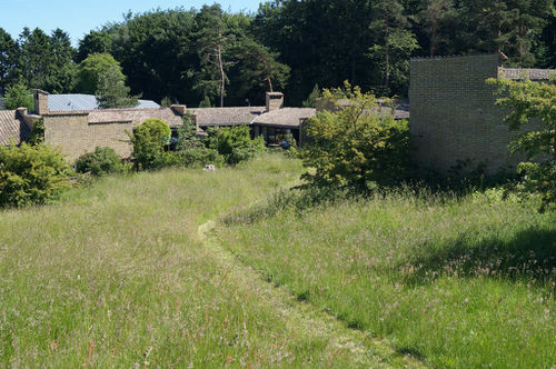 Romerhusene - Helsingør Leksikon