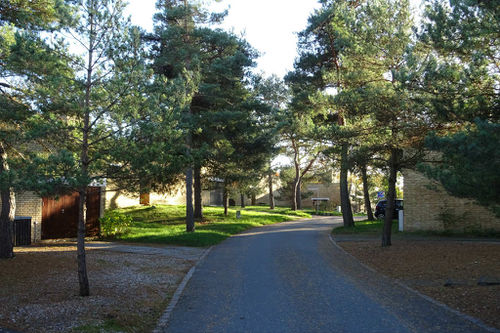 Romerhusene - Helsingør Leksikon